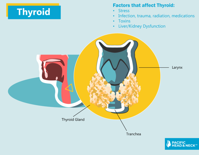Thyroid & Parathyroid Treatment - Pacific Head & Neck