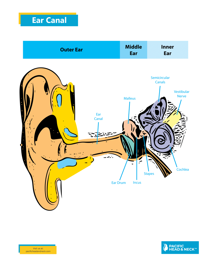 Ear Infections - Pacific Head & Neck